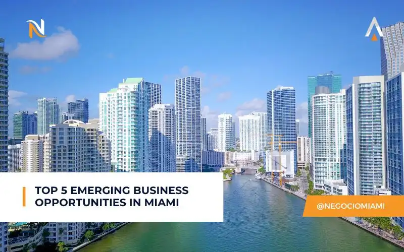 Top 5 Emerging Business Opportunities in Miami